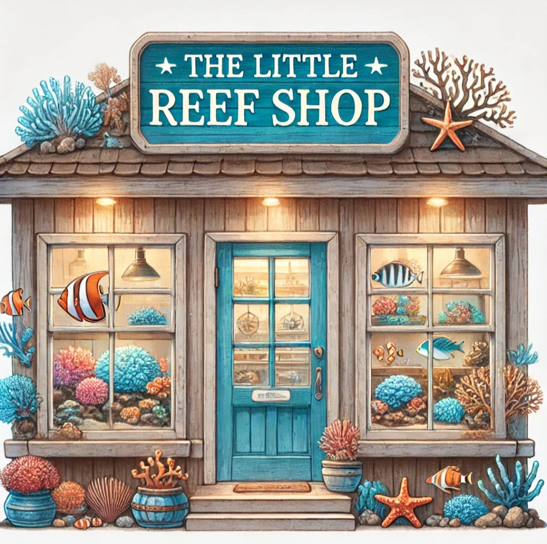 In Store Pick Up – The Little Reef Shop
